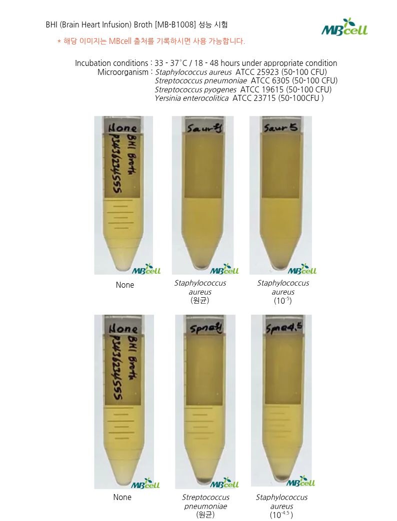 [BHI (Brain Heart Infusion) Broth]