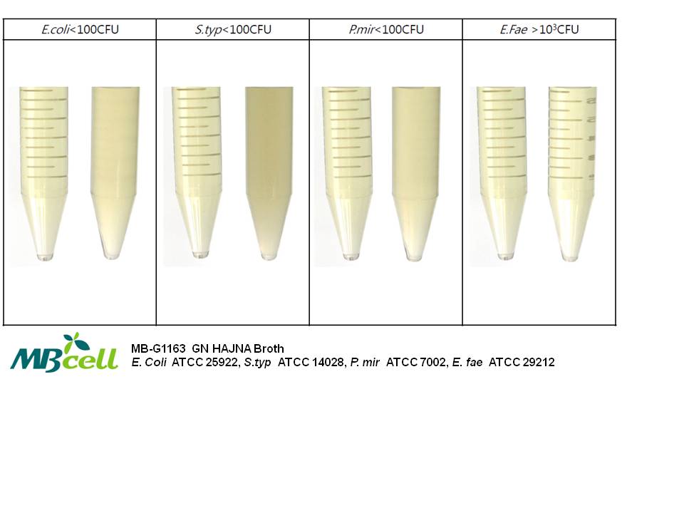 [GN (Gram-Negative) HAJNA Broth]